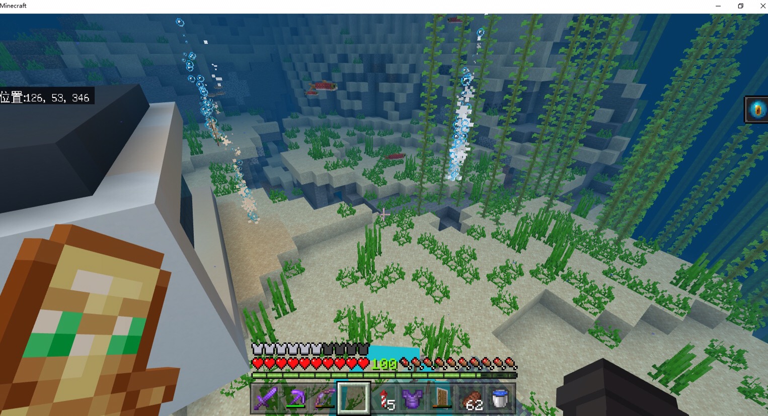 偏航的鱼雷（雾） - Minecraft - TapTap