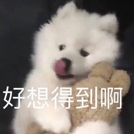 2021.1.11 - 桃源深处有人家综合讨论 - TapTap 桃源深处有人家论坛