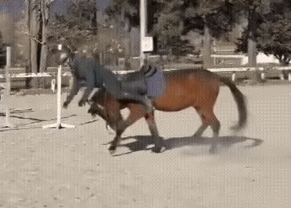 【可能有剧透】剧情真是不吐不快 - 风之痕迹综合讨论 - TapTap 风之痕迹论坛