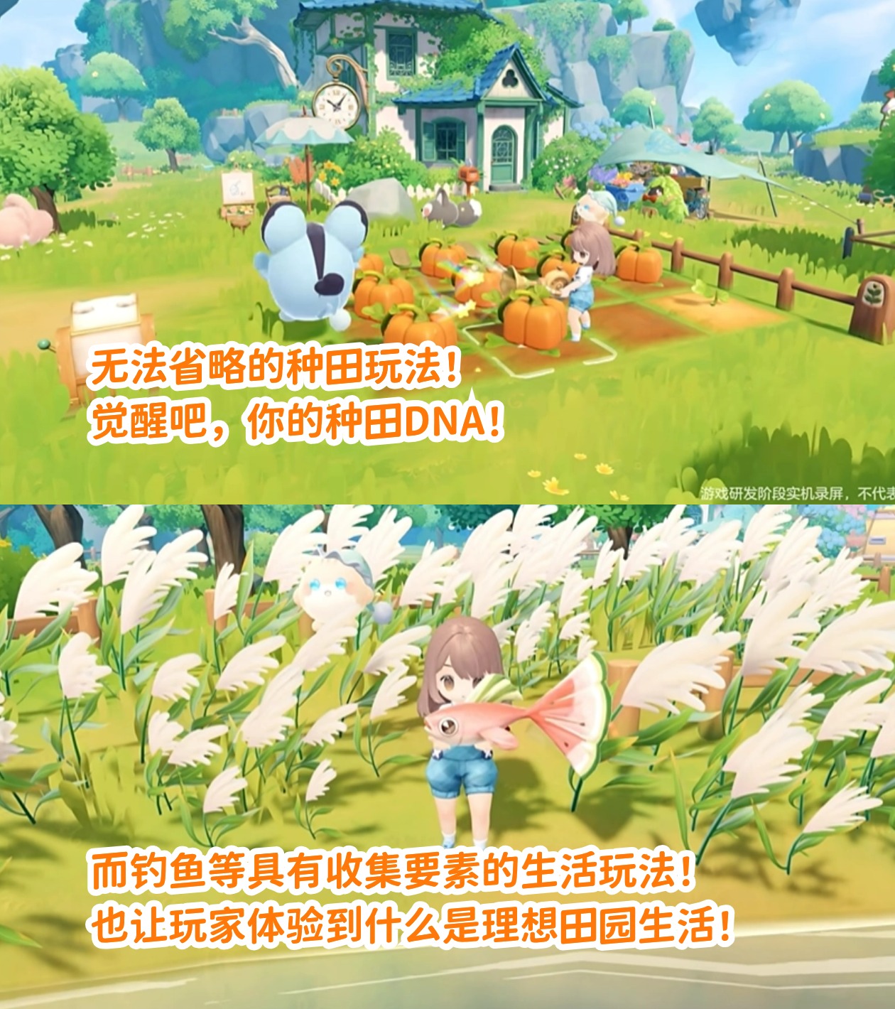 Project M - 官方论坛 - TapTap