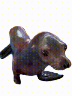 请输入文本 - 心动小镇综合讨论 - TapTap 心动小镇论坛