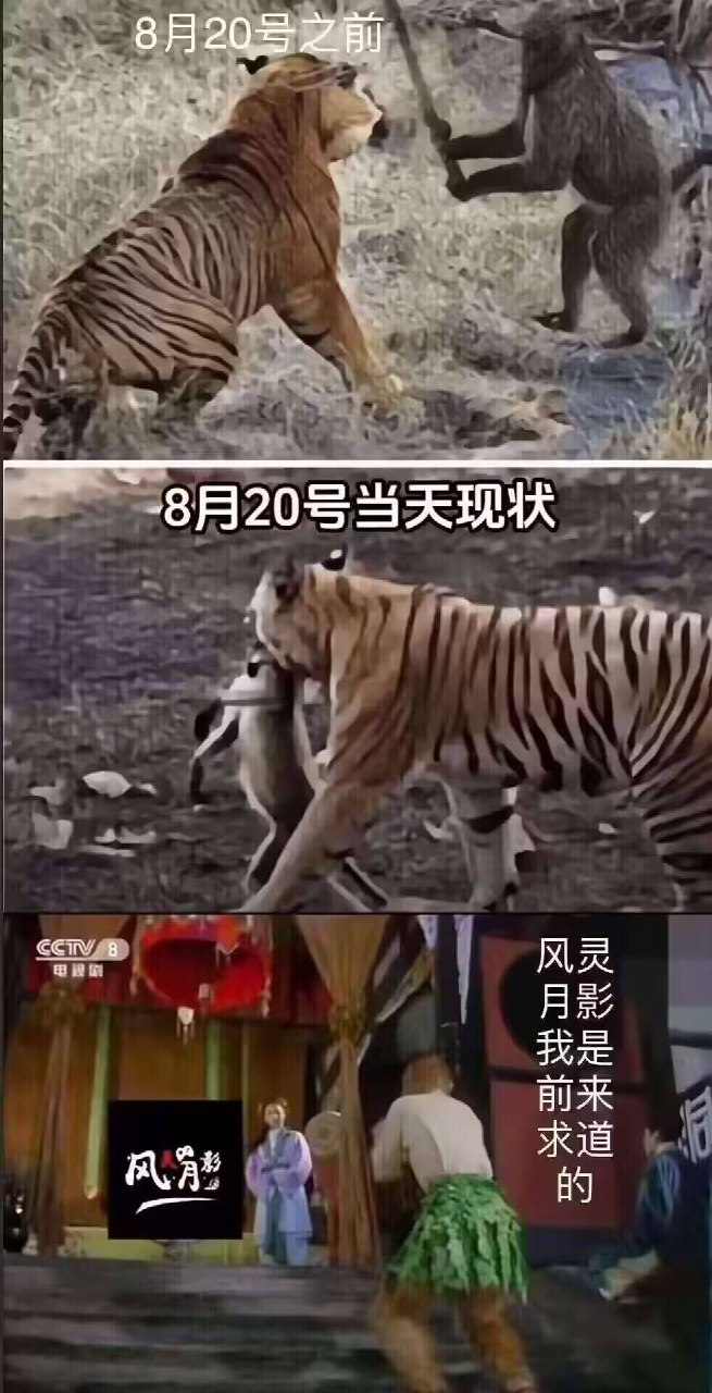 #许愿云玩黑神话悟空 - akkkk的动态 - TapTap