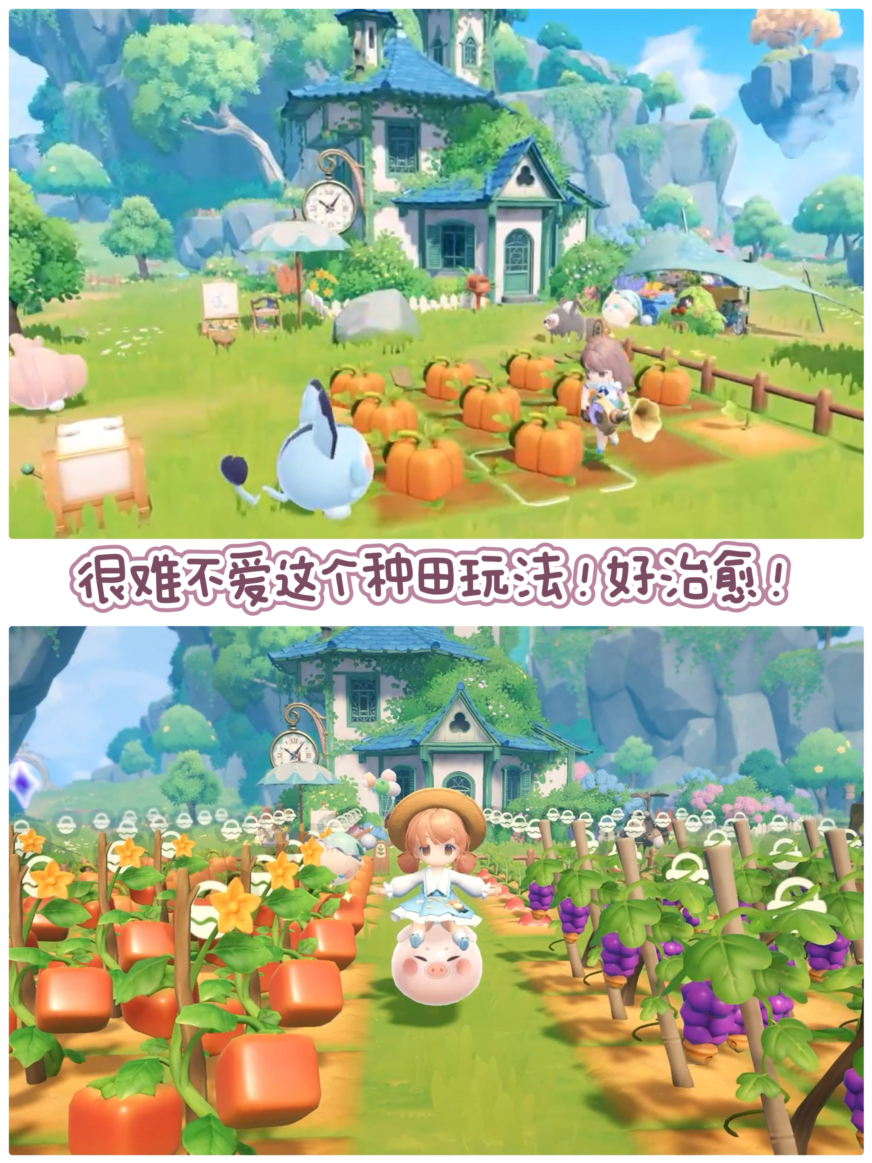 Project M - 官方论坛 - TapTap