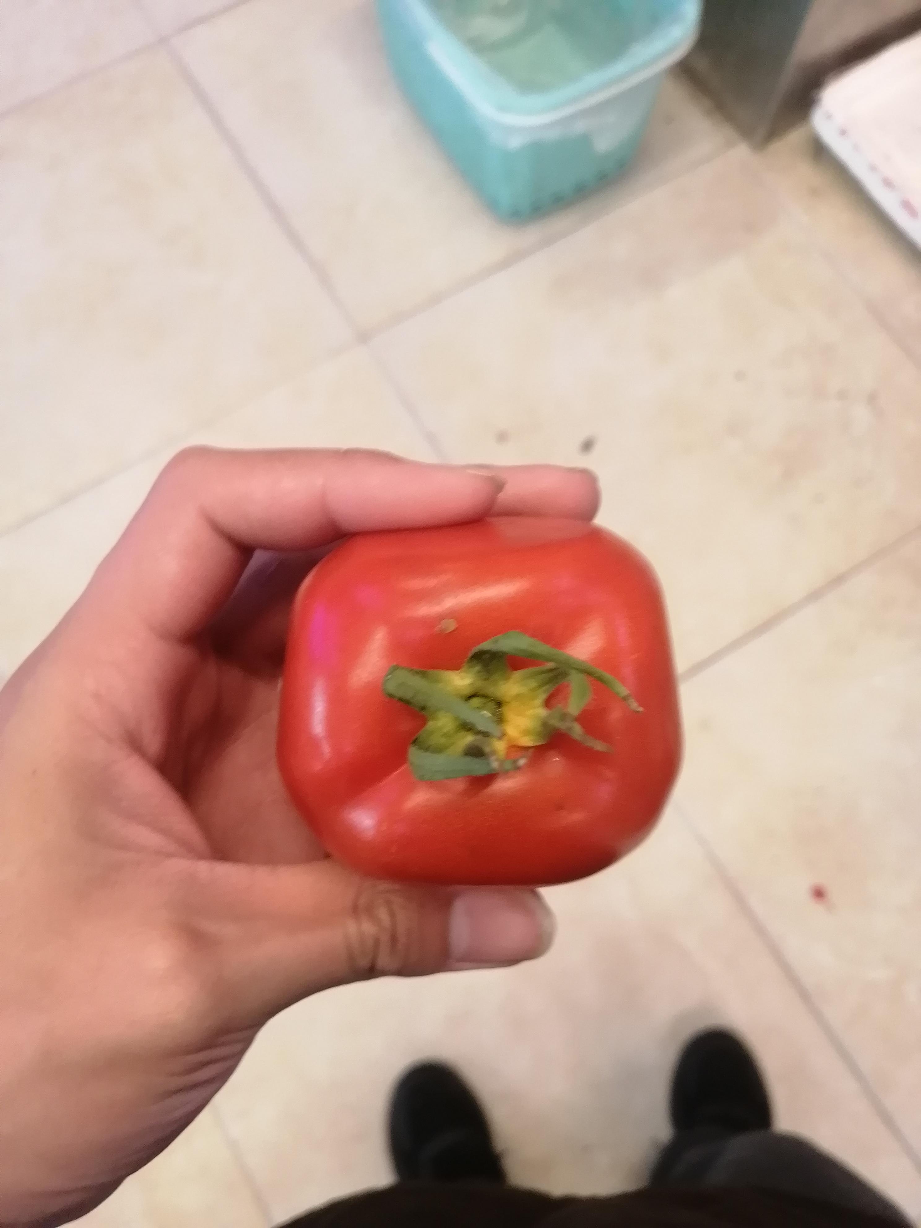 深圳打工第十天，工作... - Sunlit的动态 - TapTap