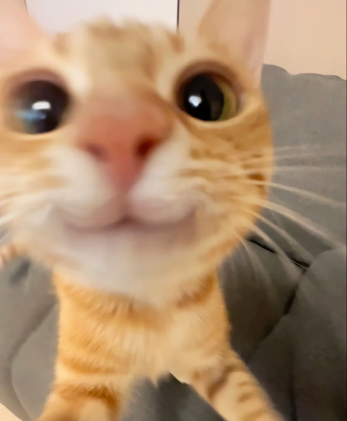 蛋仔cpdd - 笑笑的动态 - TapTap