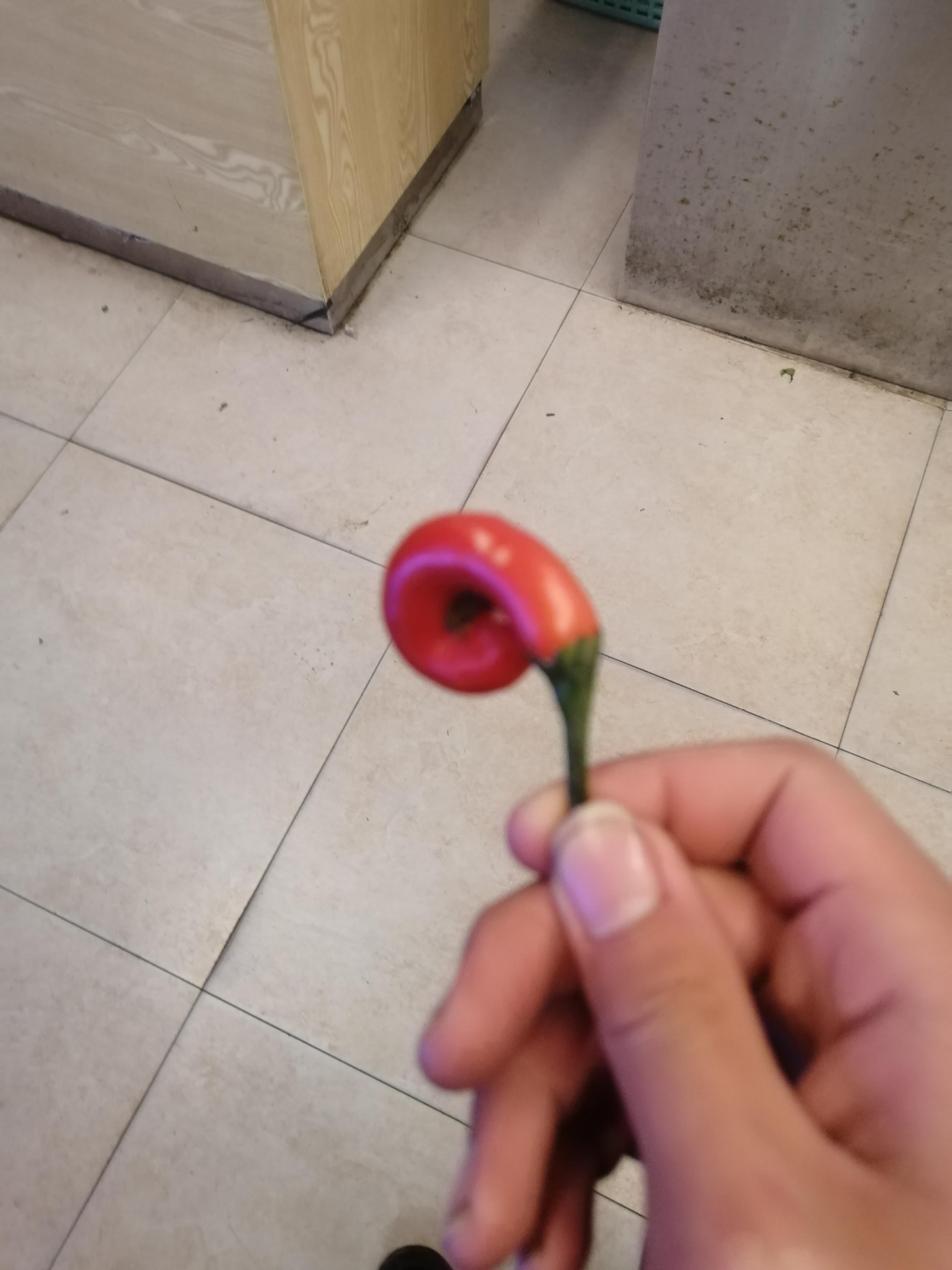 深圳打工第五天，今天... - Sunlit的动态 - TapTap