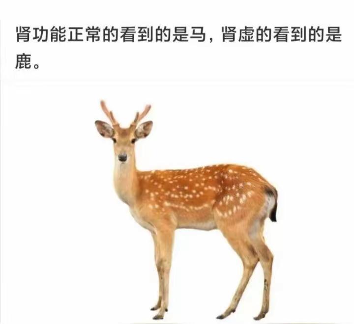 托拉姆玩家最有面子的一集 托拉姆物语玩家日常 Taptap 托拉姆物语论坛