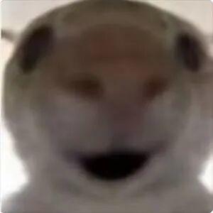 还有彩蛋 - Mr. Joker的动态 - TapTap