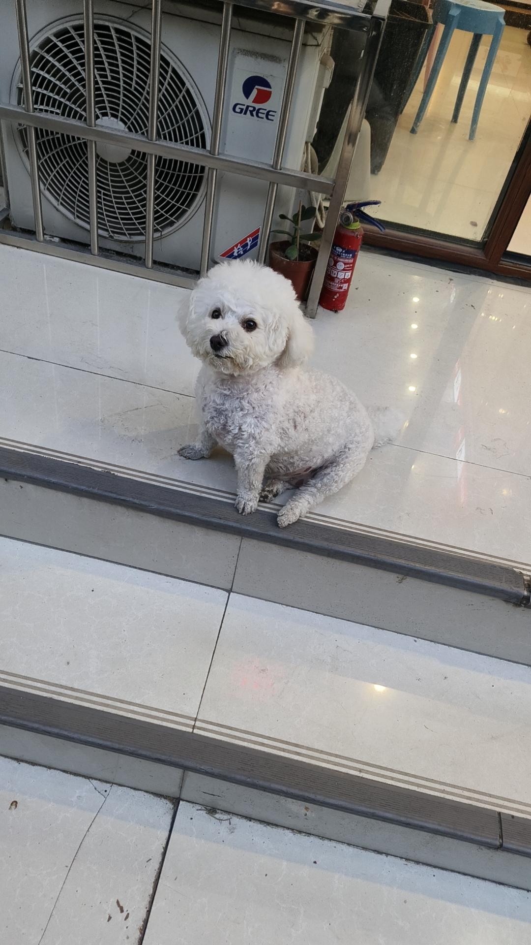 好玩爱玩#DNF手游... - 夙寐的动态 - TapTap