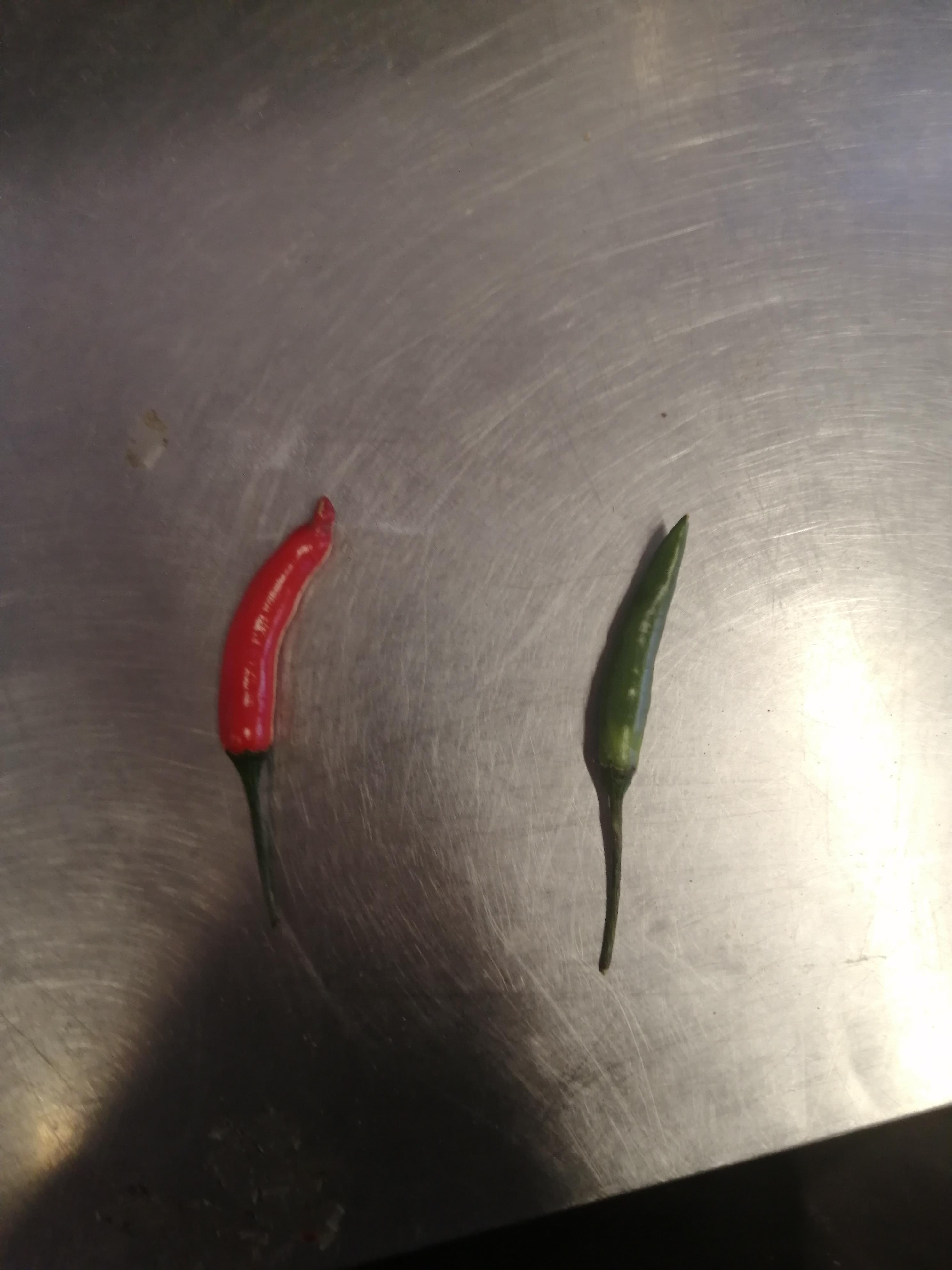 Sunlit的个人主页｜第 3 页 - TapTap