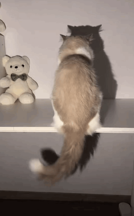 氵 - 烟雨江湖综合讨论 - TapTap 烟雨江湖论坛