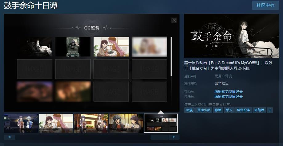 MyGo同人视觉小说《鼓手余命十日谭》Steam页面上线 上线日期待定 - 3DM游戏网的动态 - TapTap